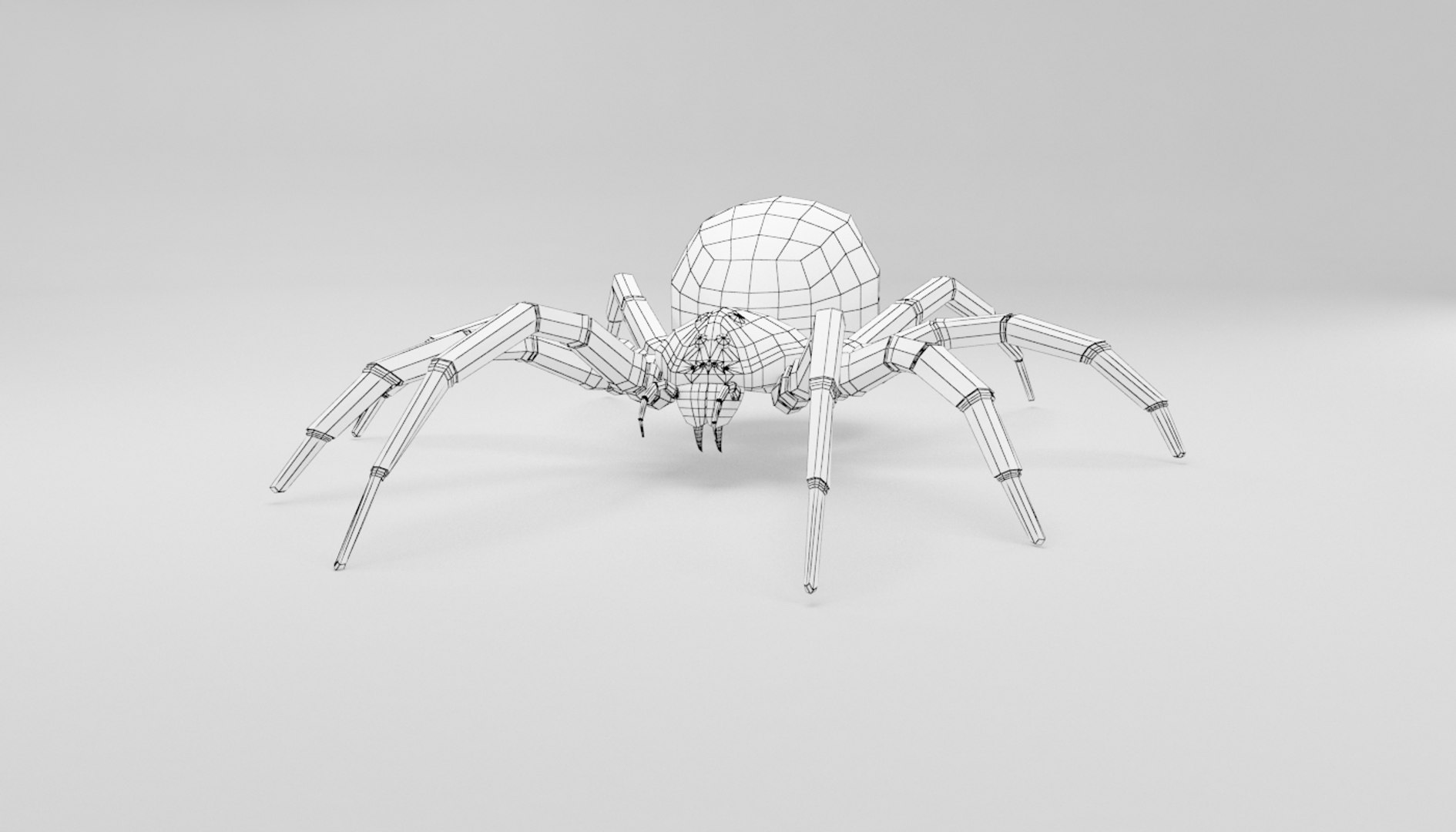 3D Wolf Spider - TurboSquid 1285549