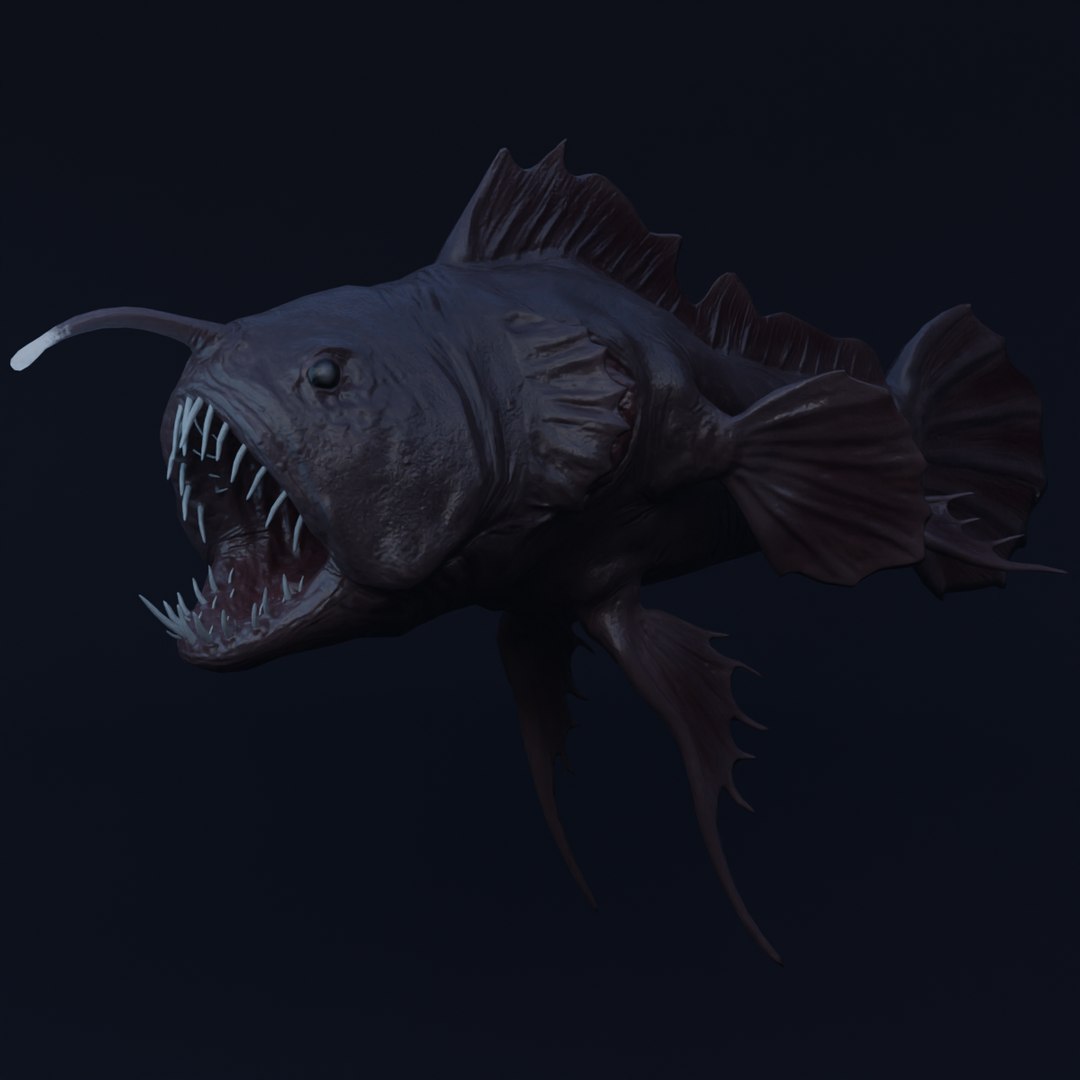 Angler Fish 3D Model - TurboSquid 1931317