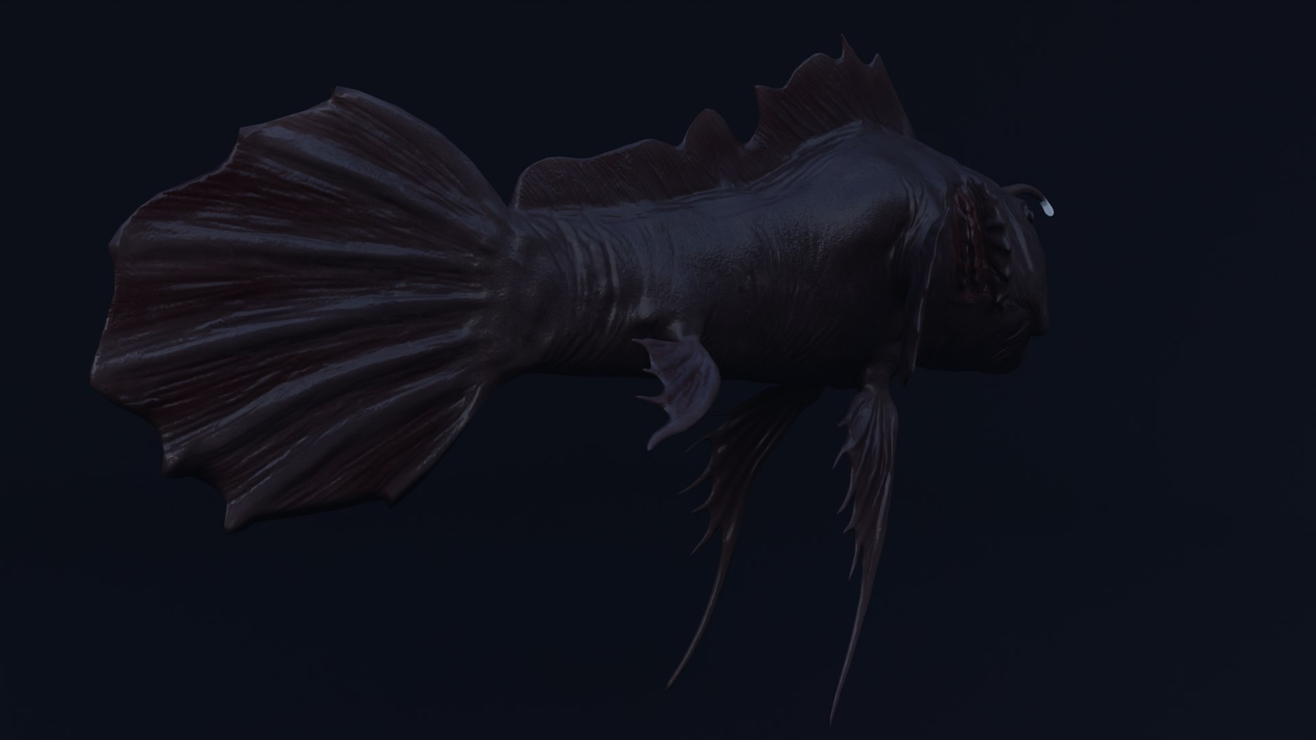 Angler Fish 3D Model - TurboSquid 1931317