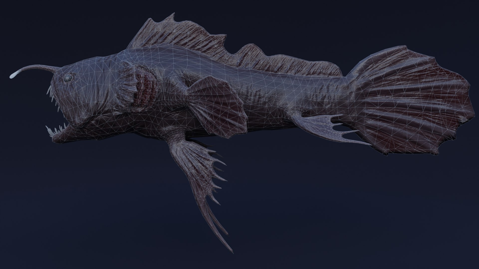 Angler Fish 3D Model - TurboSquid 1931317