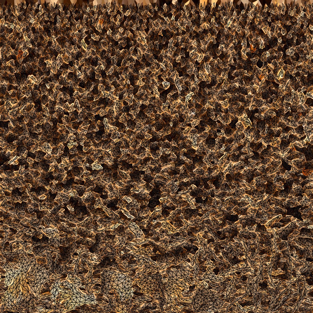 3D model Morel Mushroom Morchella 03 - TurboSquid 2056289