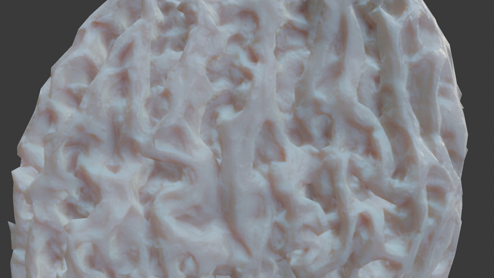 3D model Morel Mushroom Morchella 03 - TurboSquid 2056289