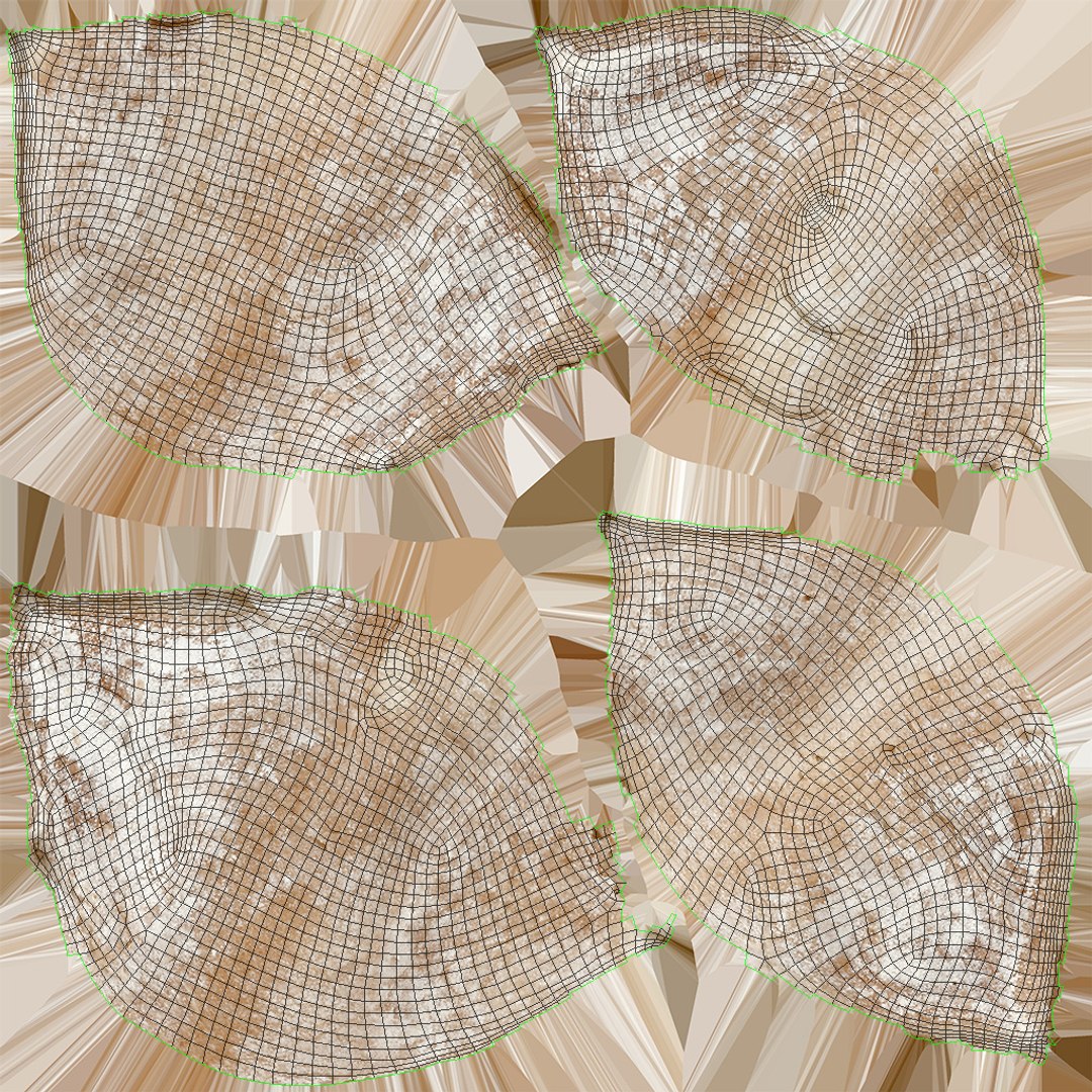 3D realistic bread roll - TurboSquid 1271388