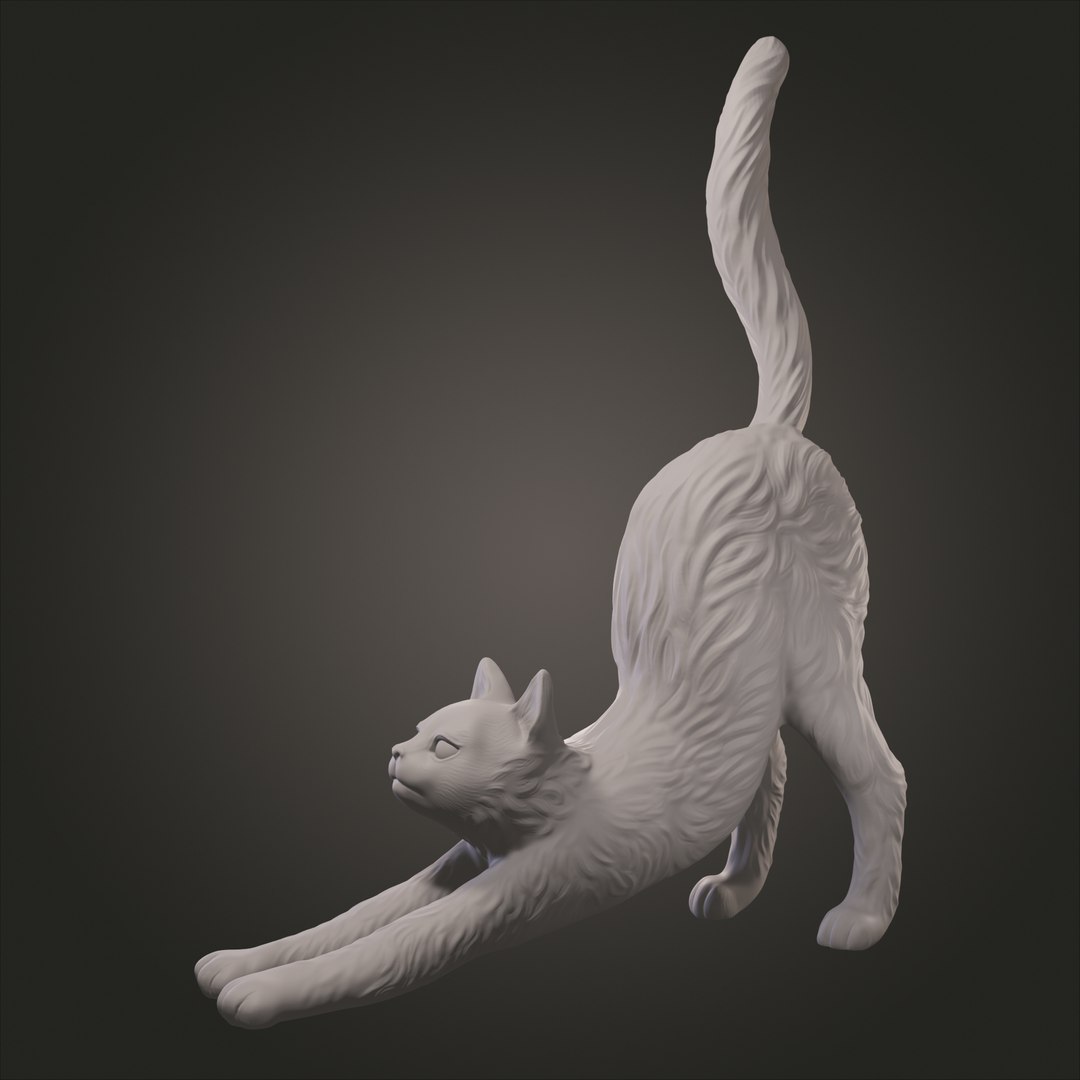 свободно 3D модель Stretching cat model for 3D printing - TurboSquid ...
