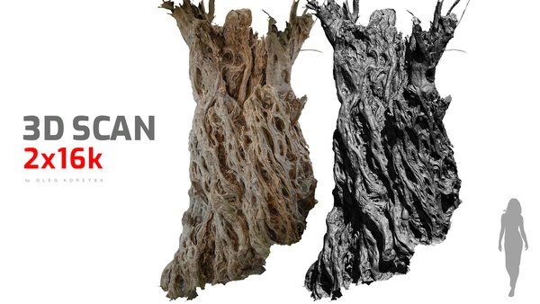 20 TREES BUNDLE SCANS COLLECTION 3D TREE PACK 3D 모델 - TurboSquid 1873853