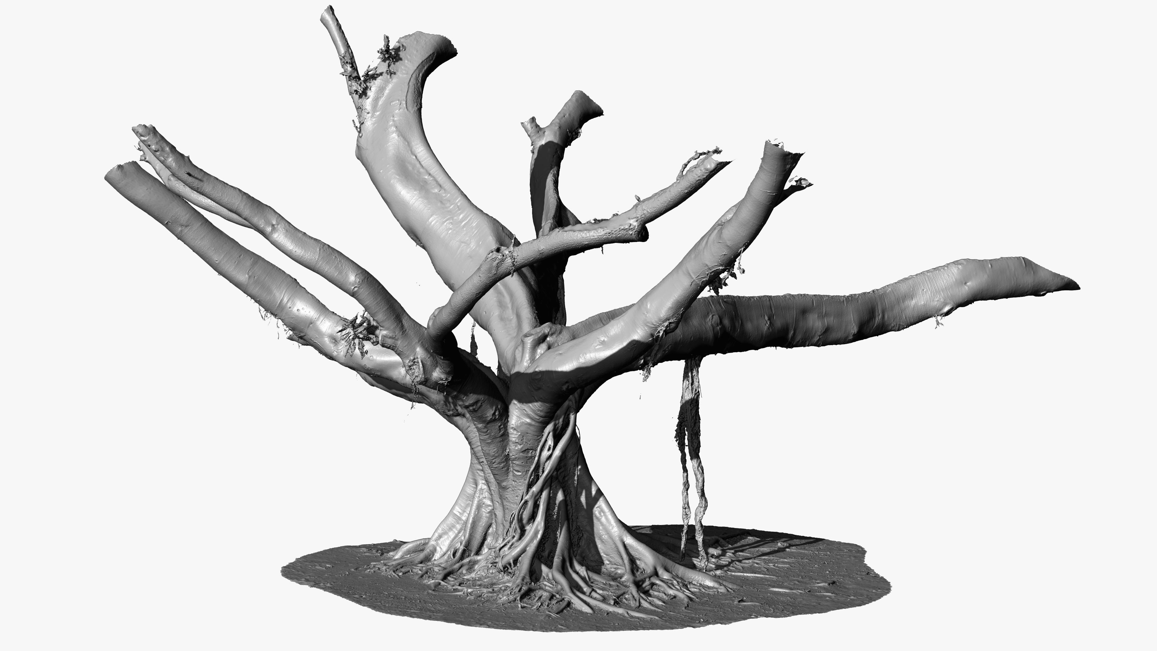 3D 20 TREES BUNDLE SCANS COLLECTION 3D TREE PACK model - TurboSquid 1873853