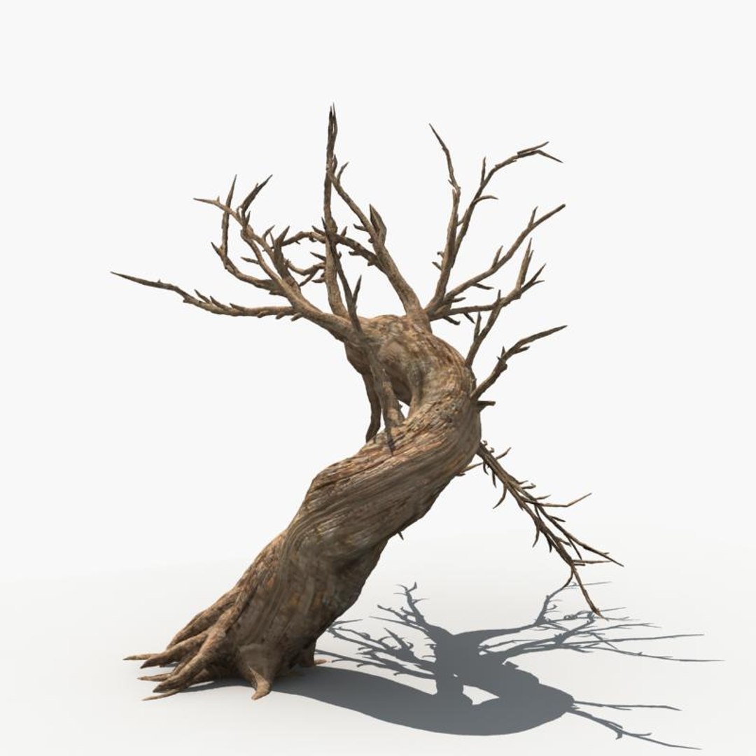 Scary Tree Dry 3d Model