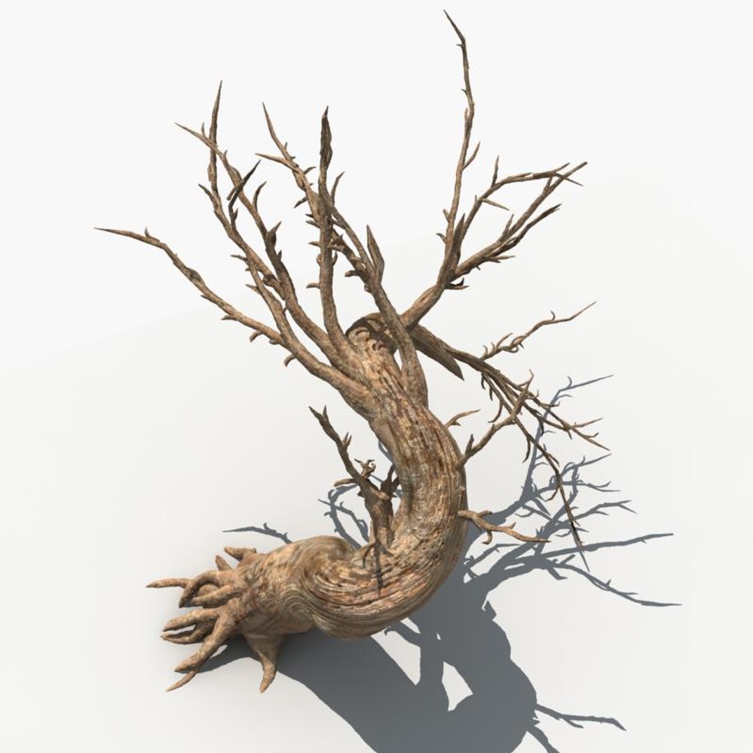 Scary Tree Dry 3d Model