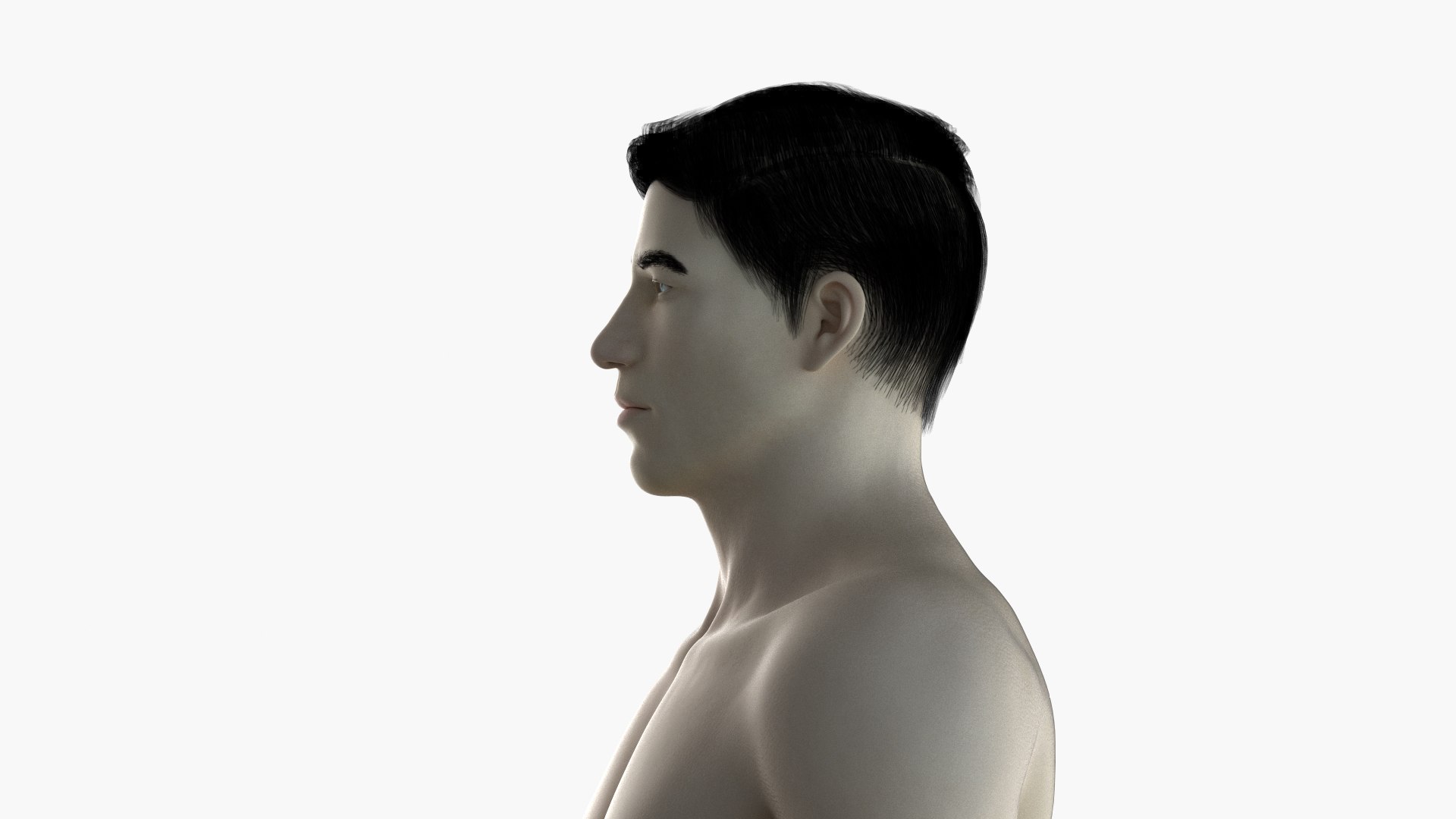 3D skin asian male skeleton model - TurboSquid 1497623