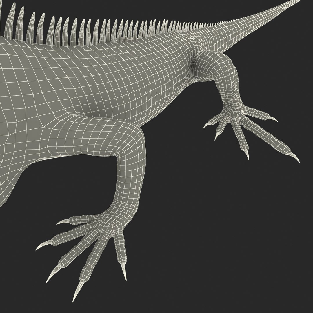 green iguana rigged 3d c4d