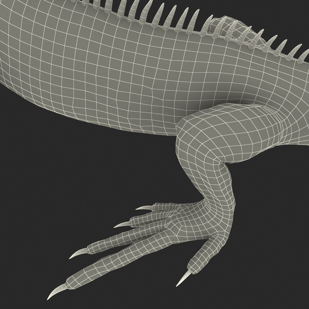 green iguana rigged 3d c4d