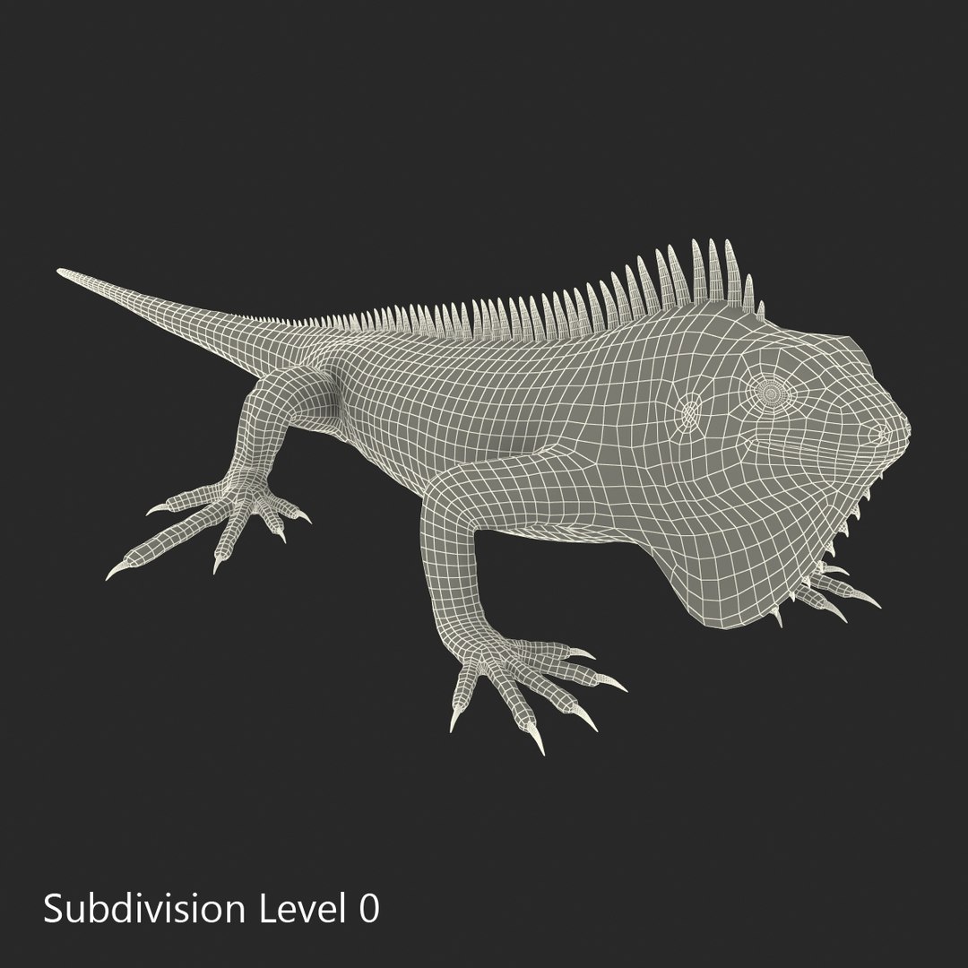 green iguana rigged 3d c4d