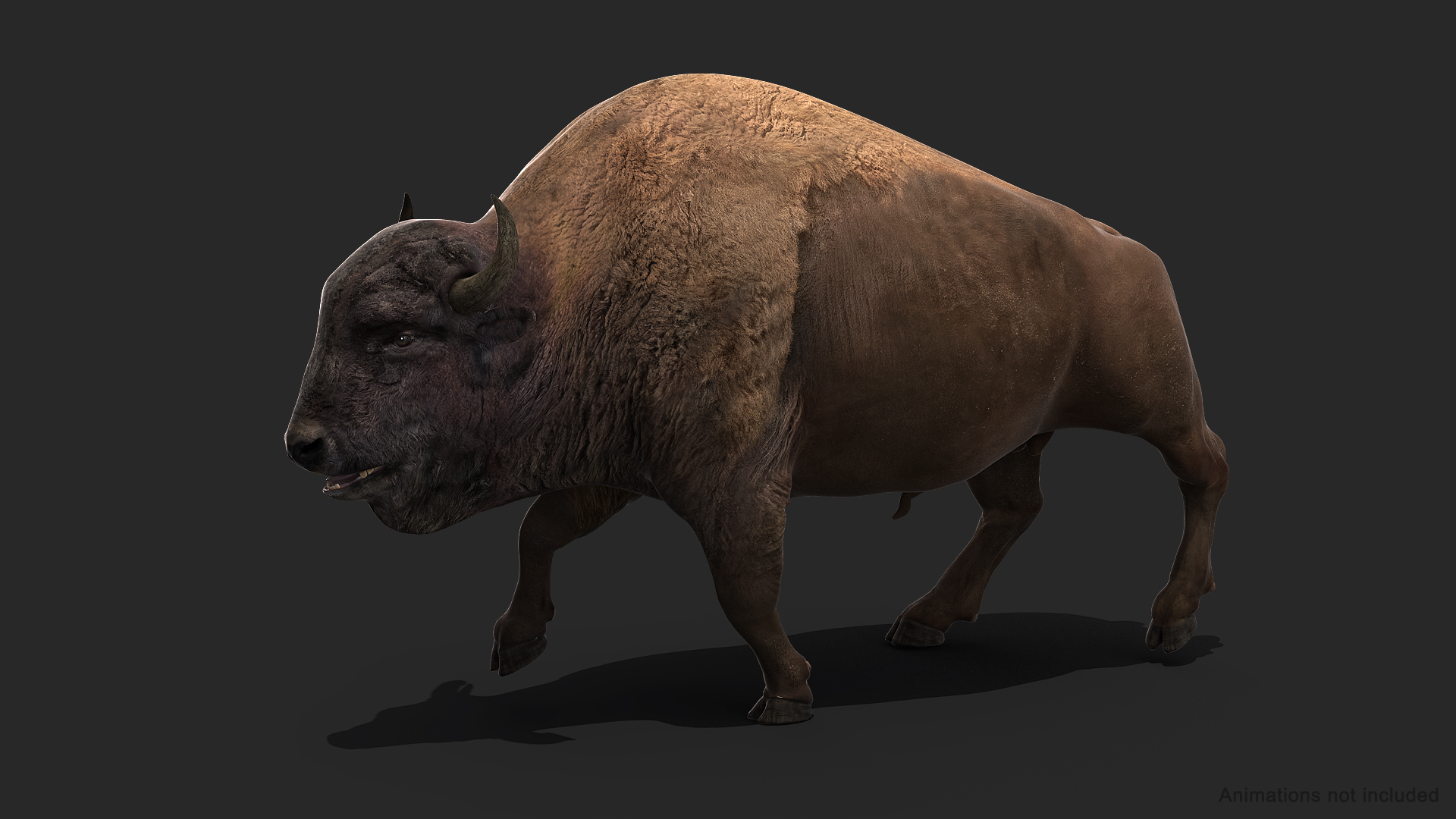 American Bison Rigged For Cinema 4D 3D - TurboSquid 2265129
