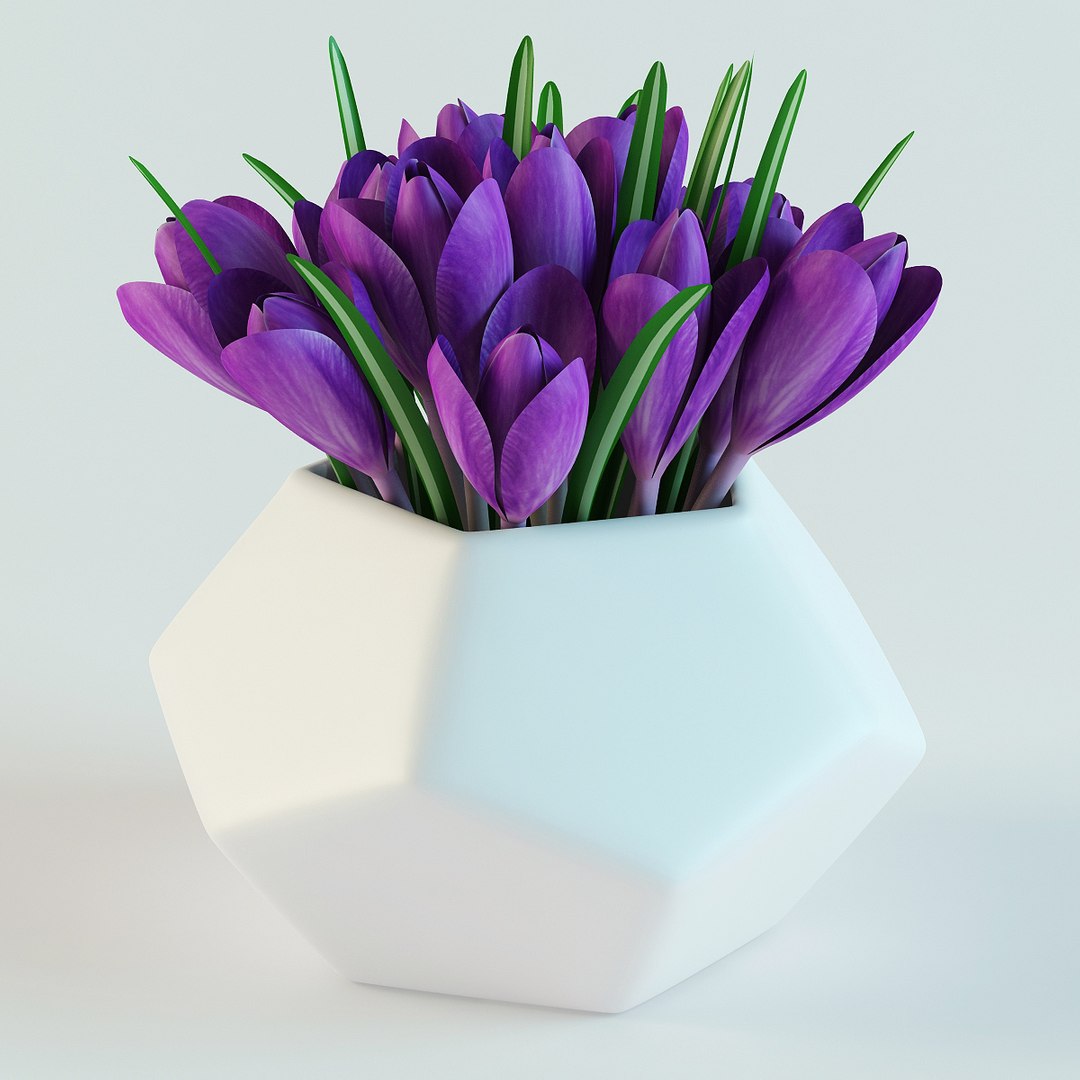 crocuses vase 3d obj