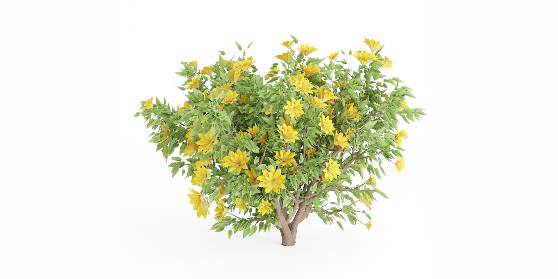 3D Model Collection Flowering Bush Vol 8-Blender - TurboSquid 2104940