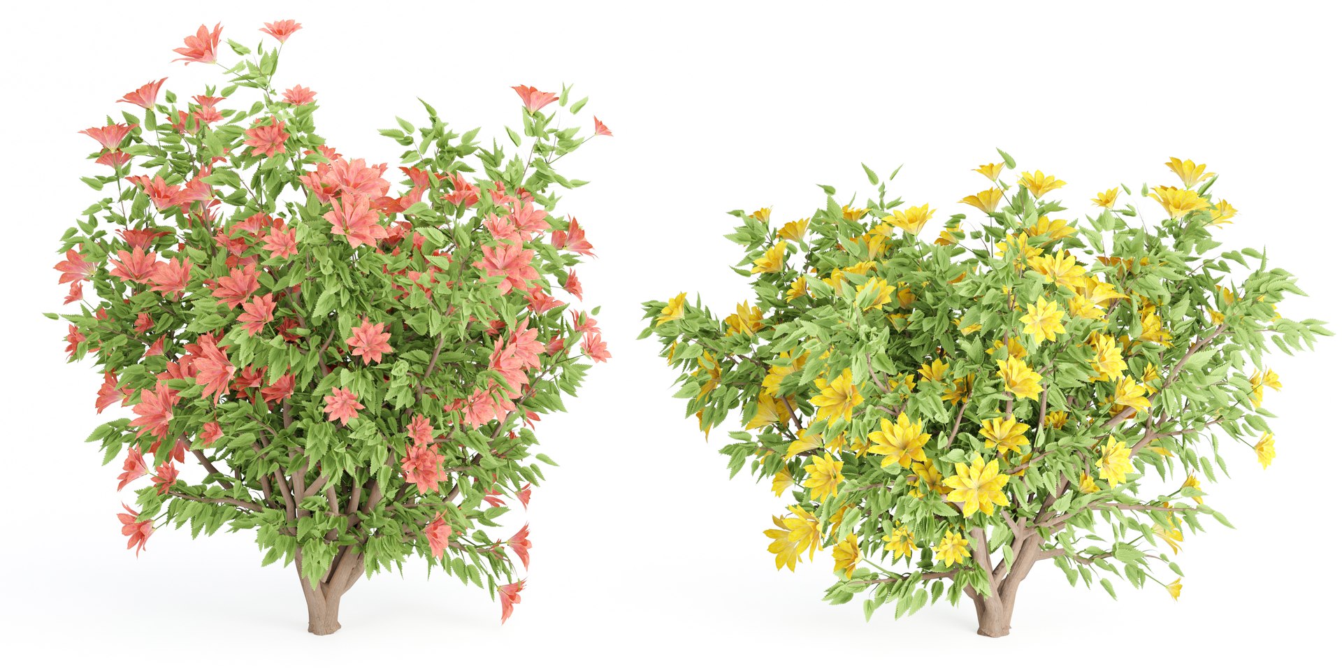 3D Model Collection Flowering Bush Vol 8-Blender - TurboSquid 2104940