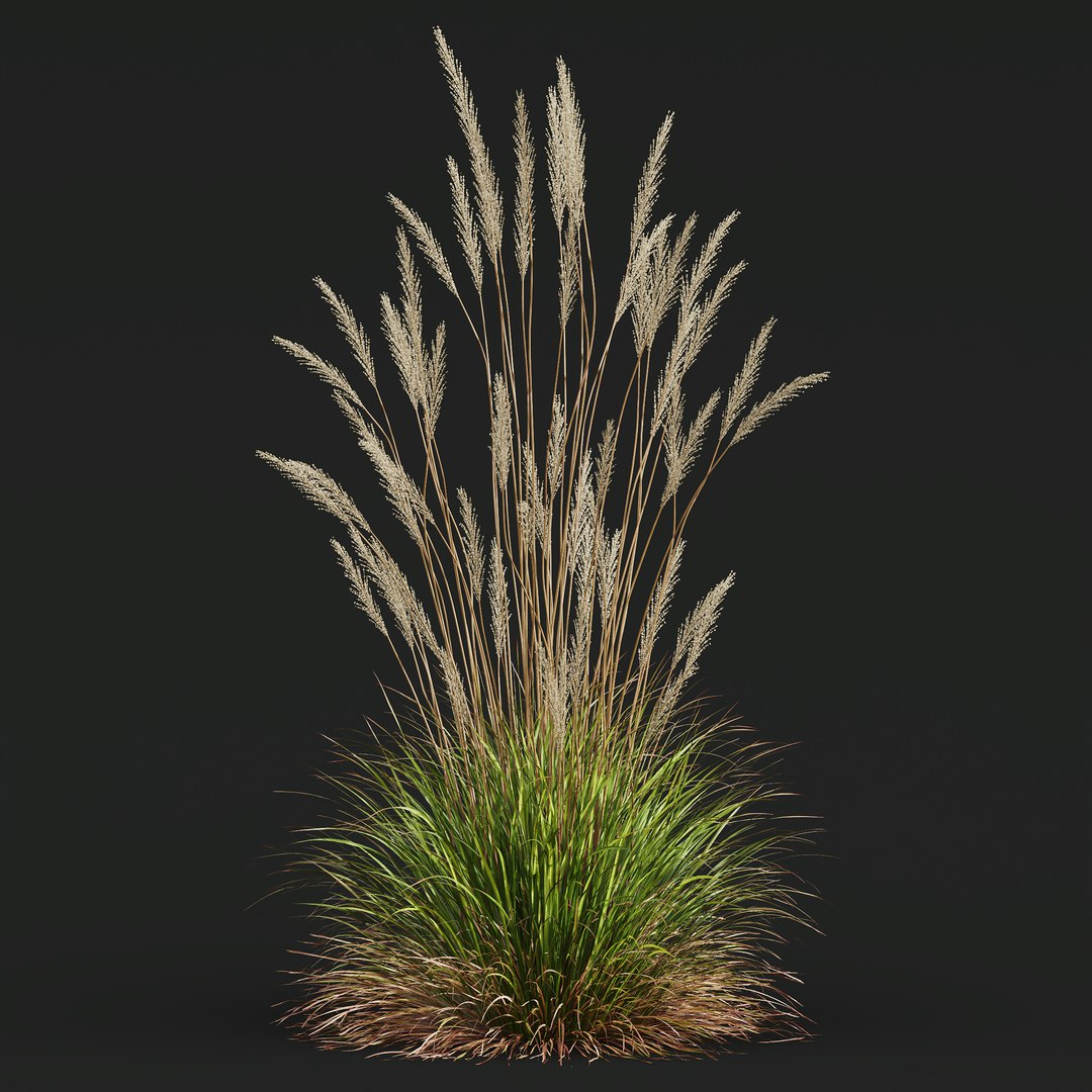 3D 6 Different SETS Of Grass SET VOL01 - TurboSquid 2124557