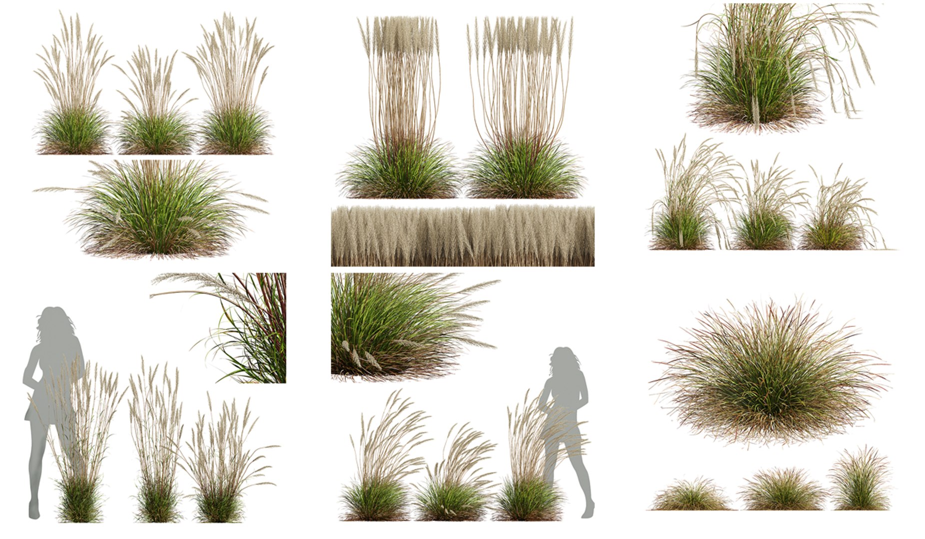 3D 6 Different SETS of Grass SET VOL01 - TurboSquid 2124557