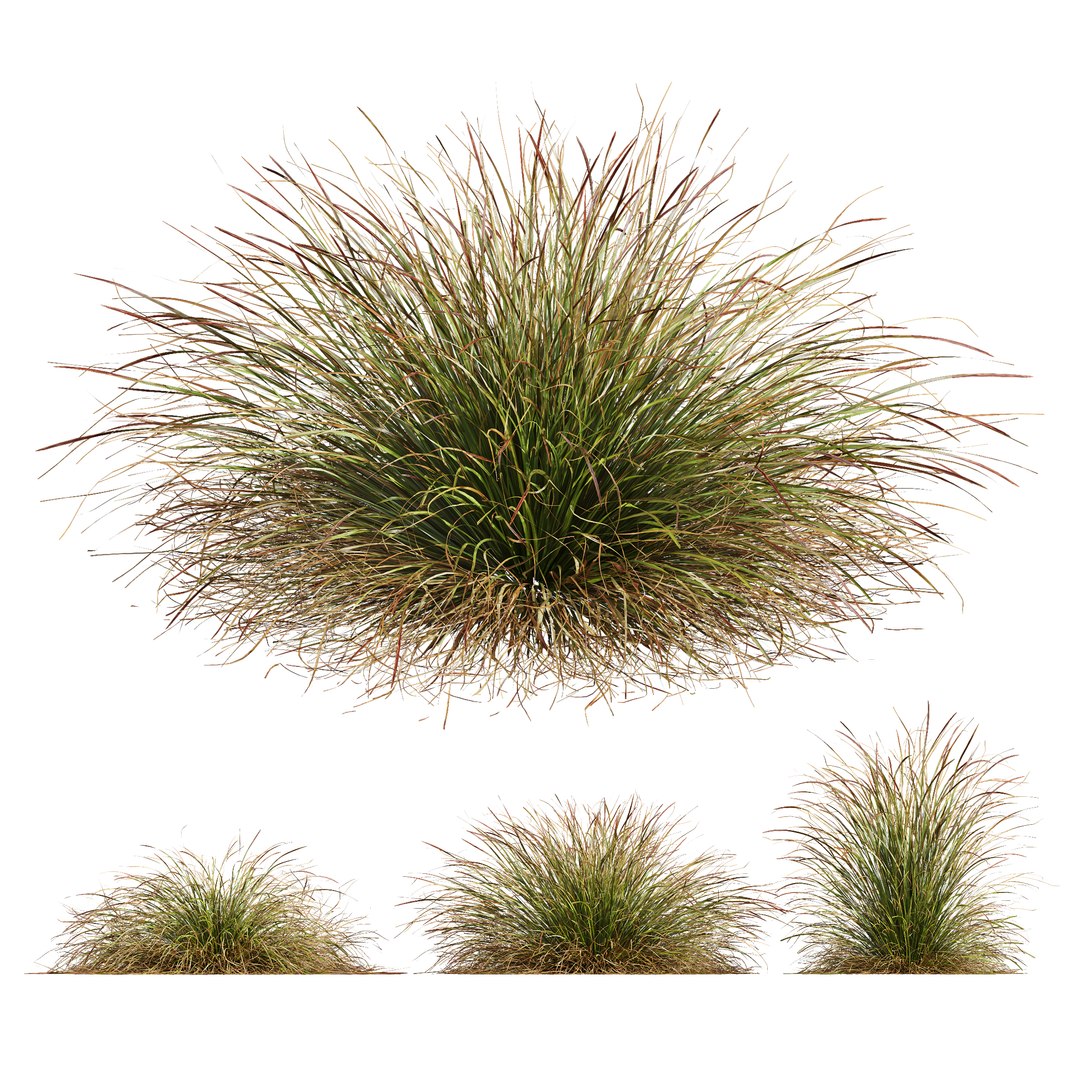 3D 6 Different SETS Of Grass SET VOL01 - TurboSquid 2124557