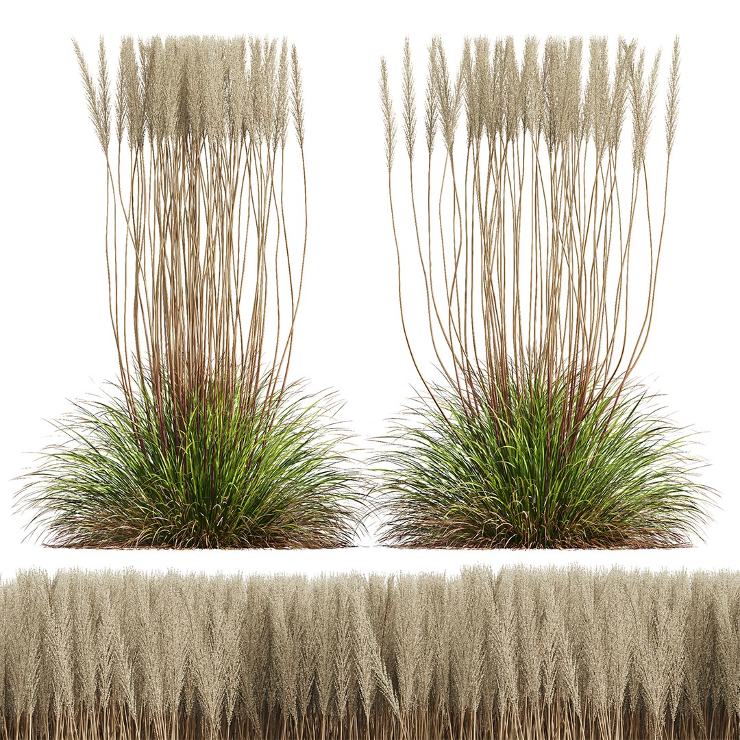 3D 6 Different SETS Of Grass SET VOL01 - TurboSquid 2124557
