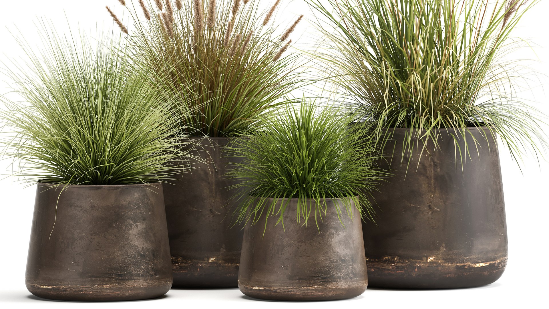 Reeds In A Rusty Flowerpot For The Interior 988 3D Model - TurboSquid ...