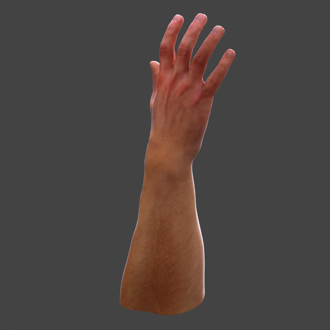 3d model human hand arm