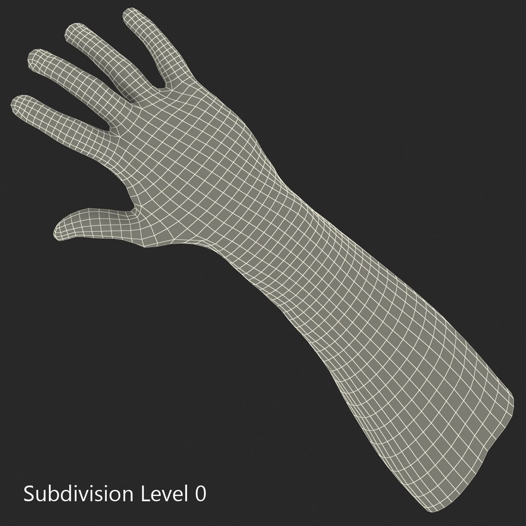 3d Model Human Hand Arm
