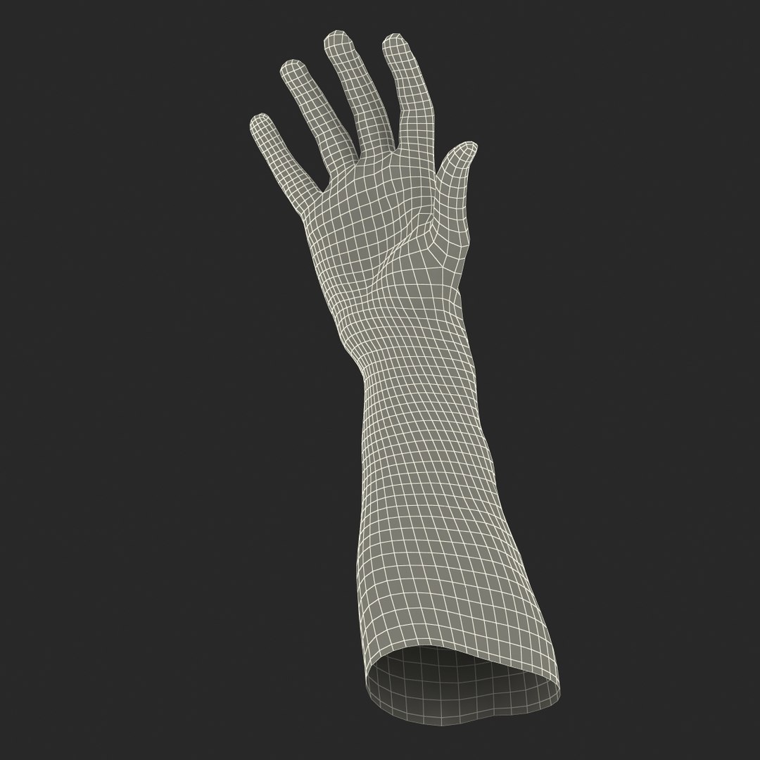 3d Model Human Hand Arm