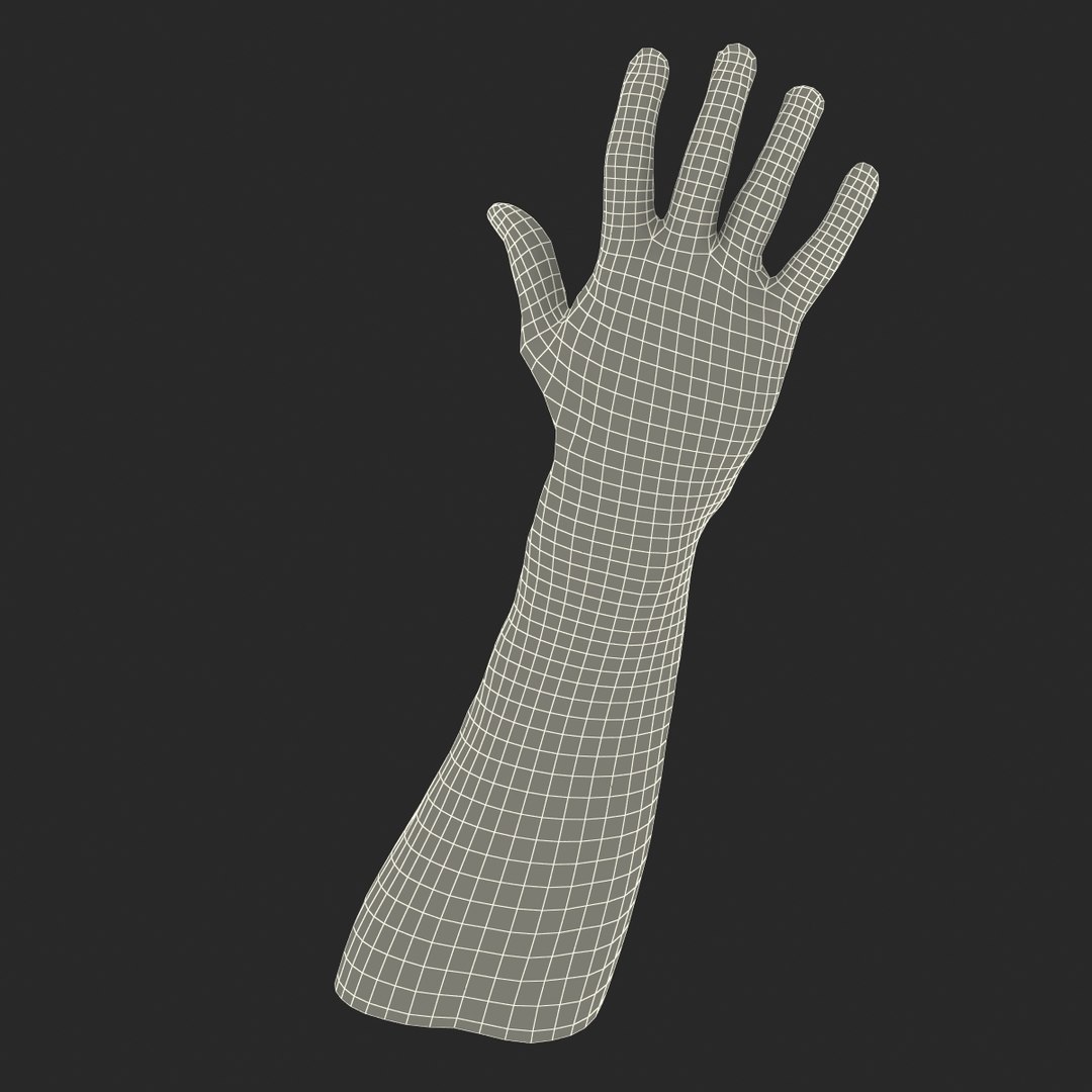 3d Model Human Hand Arm