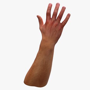 Low Poly 3D Sinew Models For Download | TurboSquid