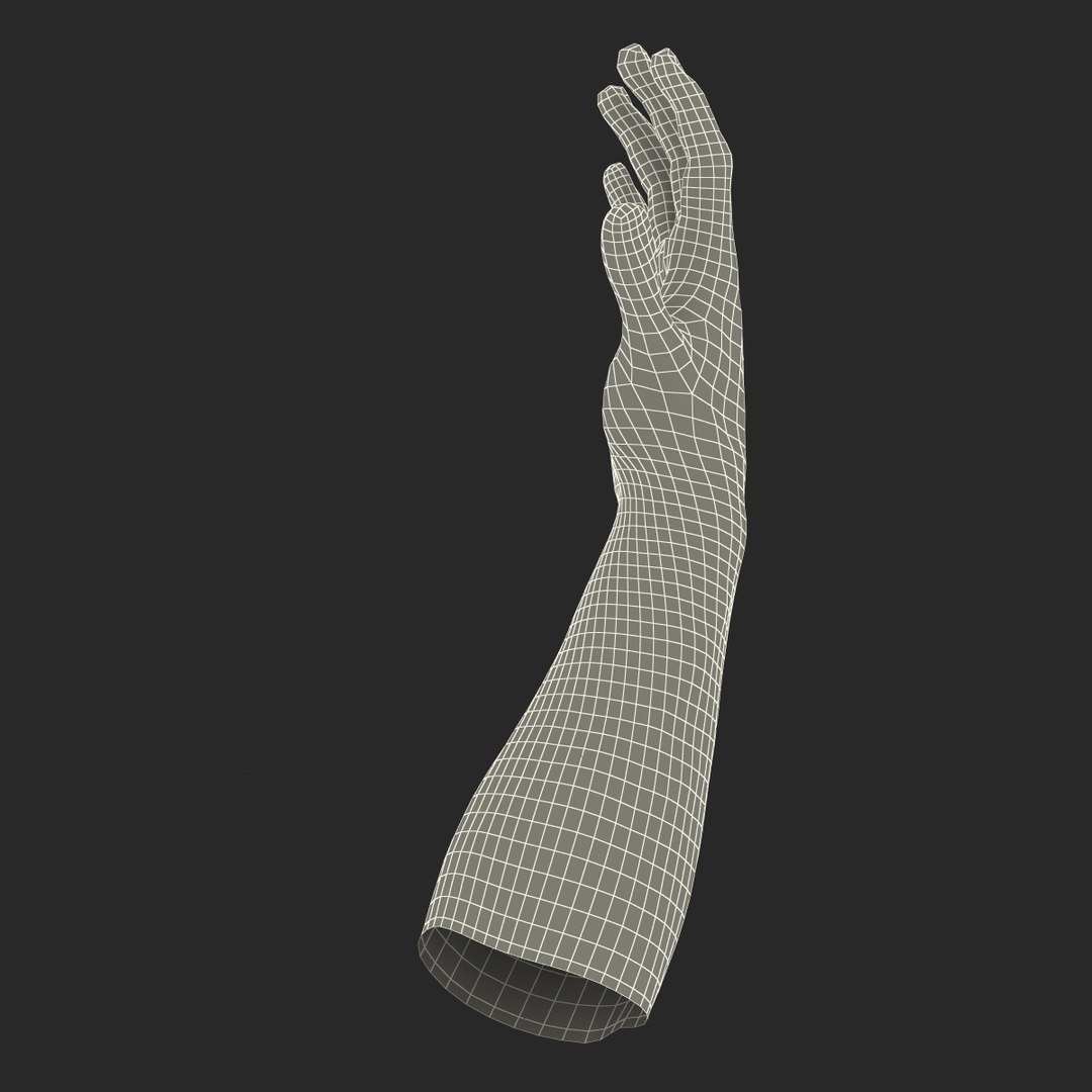 3d Model Human Hand Arm