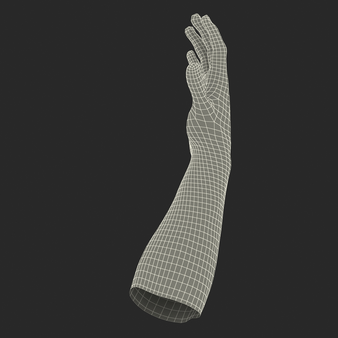 3d model human hand arm
