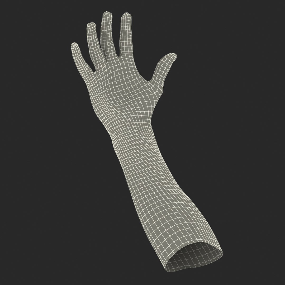3d Model Human Hand Arm