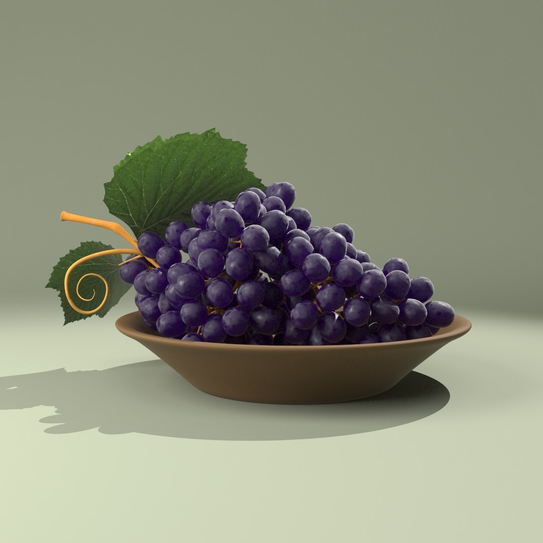 3D Vine Grape Plate - TurboSquid 1525517