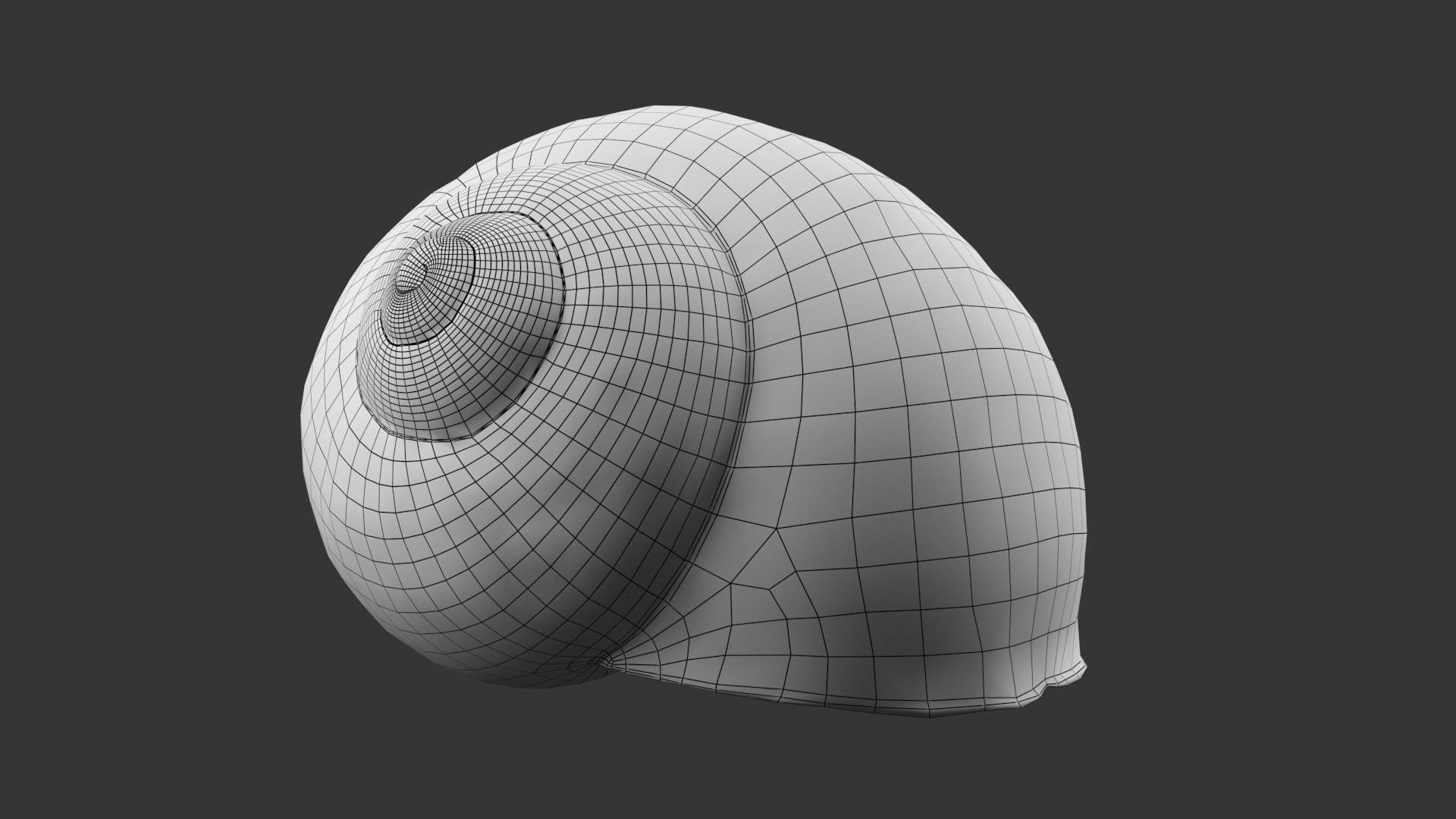 3D Snail Shell Model - TurboSquid 2074733