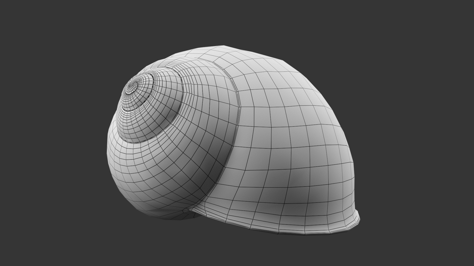 3D Snail Shell Model - TurboSquid 2074733