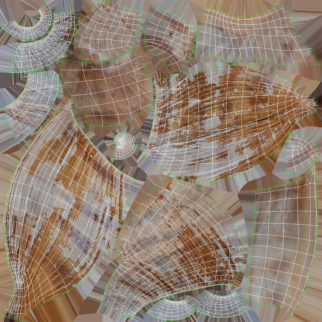 3D Snail Shell Model - TurboSquid 2074733