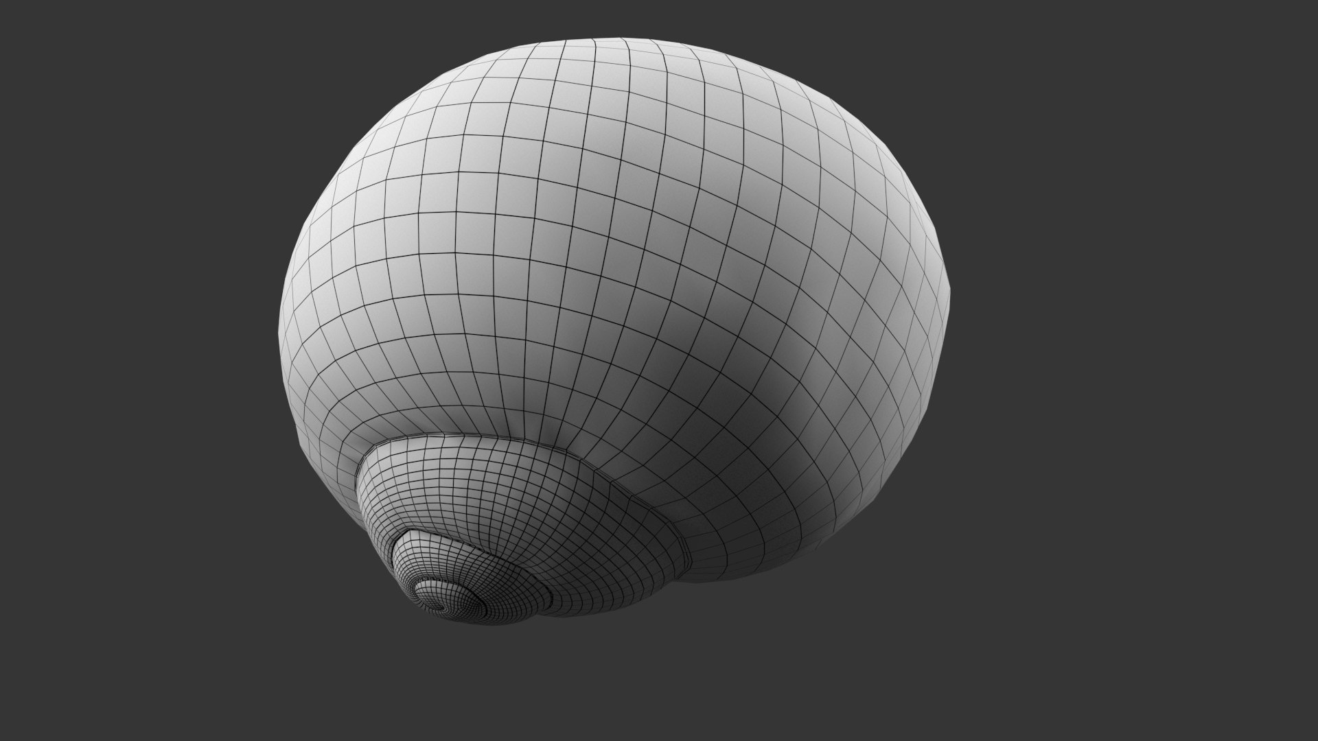 3D Snail Shell Model - TurboSquid 2074733