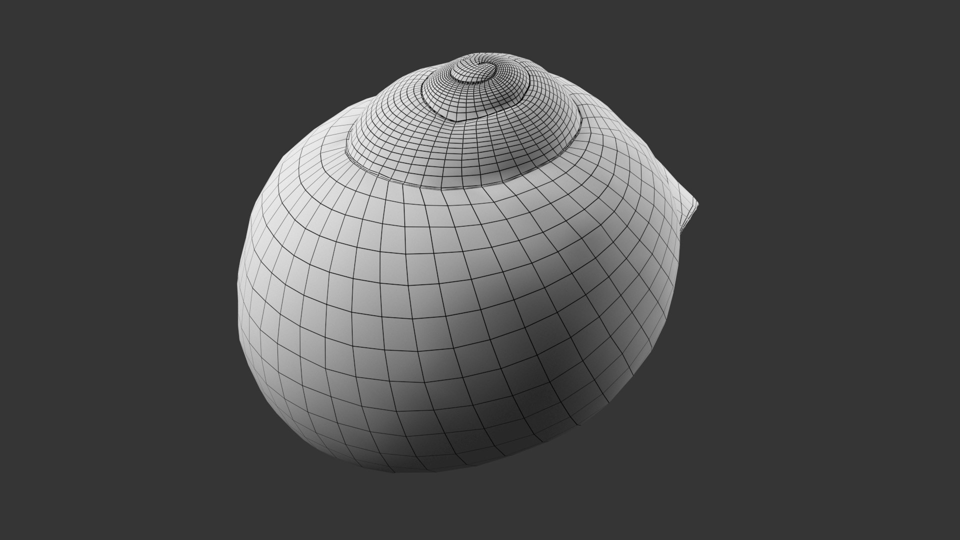 3D Snail Shell Model - TurboSquid 2074733