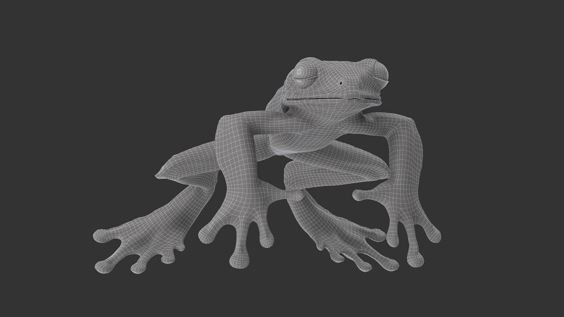 Splendid Leaf Frog Model - TurboSquid 2012444