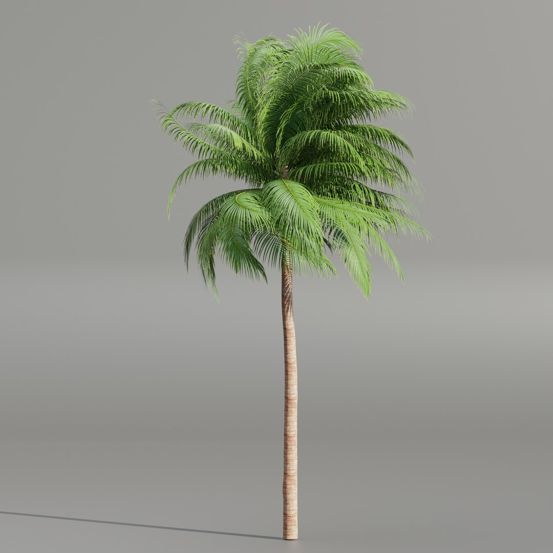 3D Model Palm Trees Collection 195-Blender-3dmodel - TurboSquid 2173380