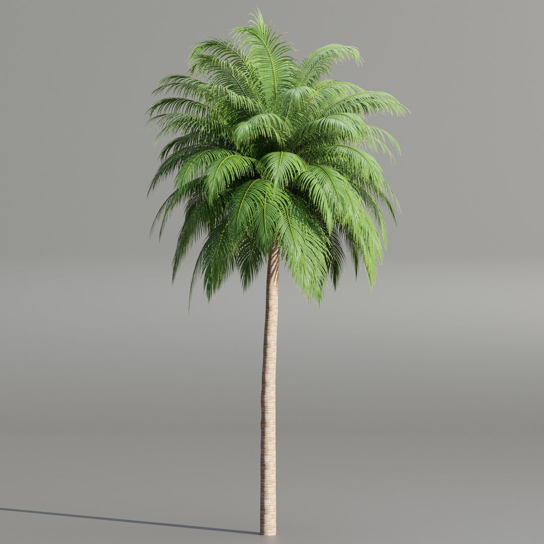 3D Model Palm Trees Collection 195-Blender-3dmodel - TurboSquid 2173380
