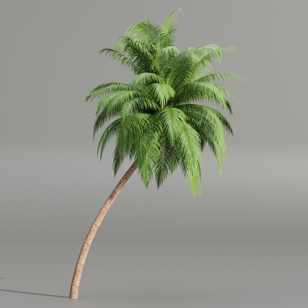 3D Model Palm Trees Collection 195-Blender-3dmodel - TurboSquid 2173380
