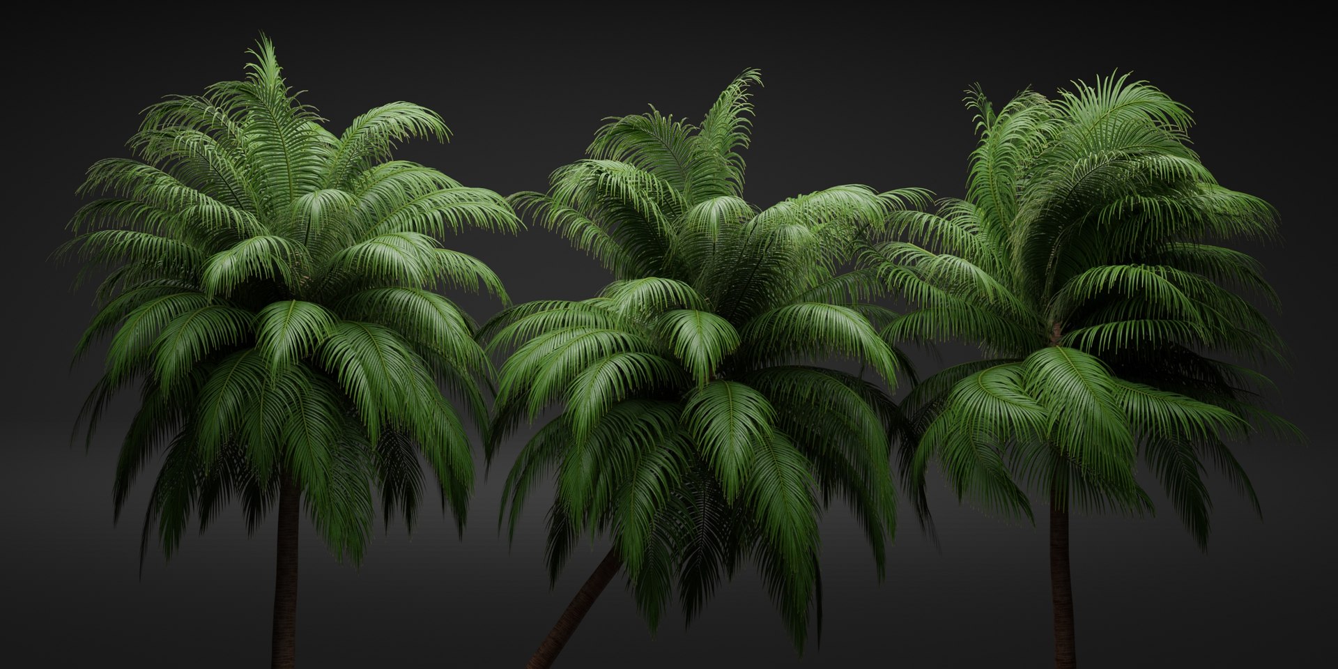 3D Model Palm Trees Collection 195-Blender-3dmodel - TurboSquid 2173380