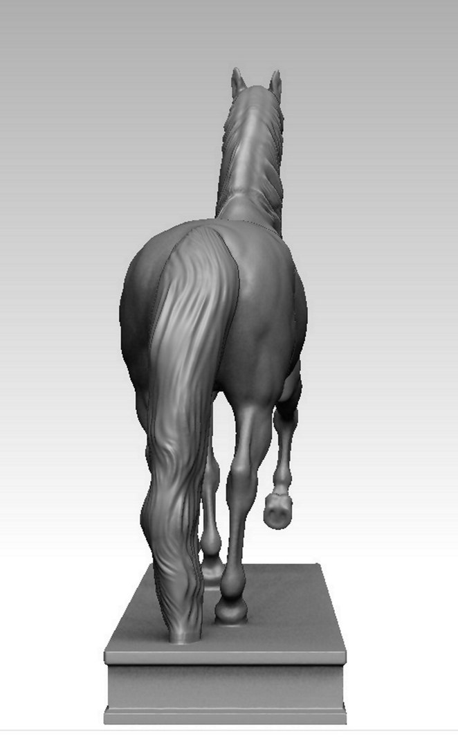 3D Model Horse - TurboSquid 2119417