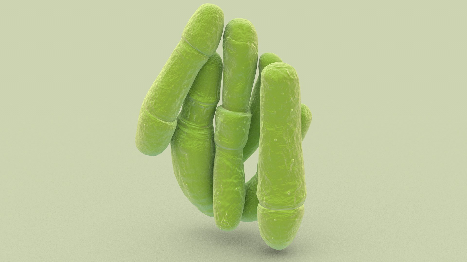 Corynebacterium 3D Model - TurboSquid 2076023