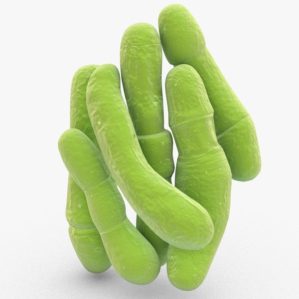 Bacteria 3D Models for Download | TurboSquid