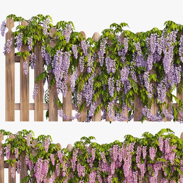 Plants Rhino Models for Download | TurboSquid