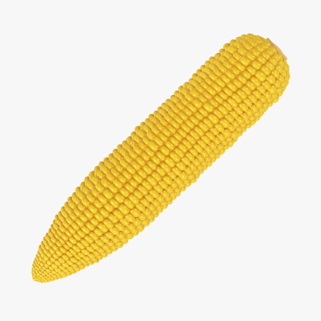 Corn Food Maize 3D Model - TurboSquid 1404255