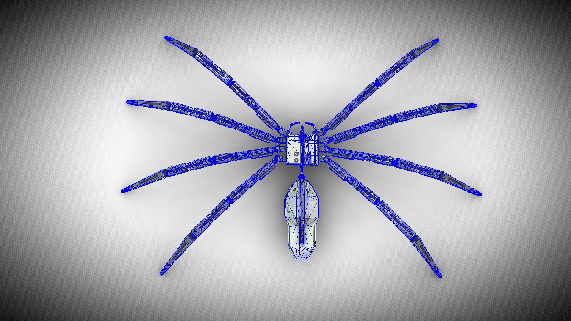 3D Model Spider Bot - TurboSquid 2098333